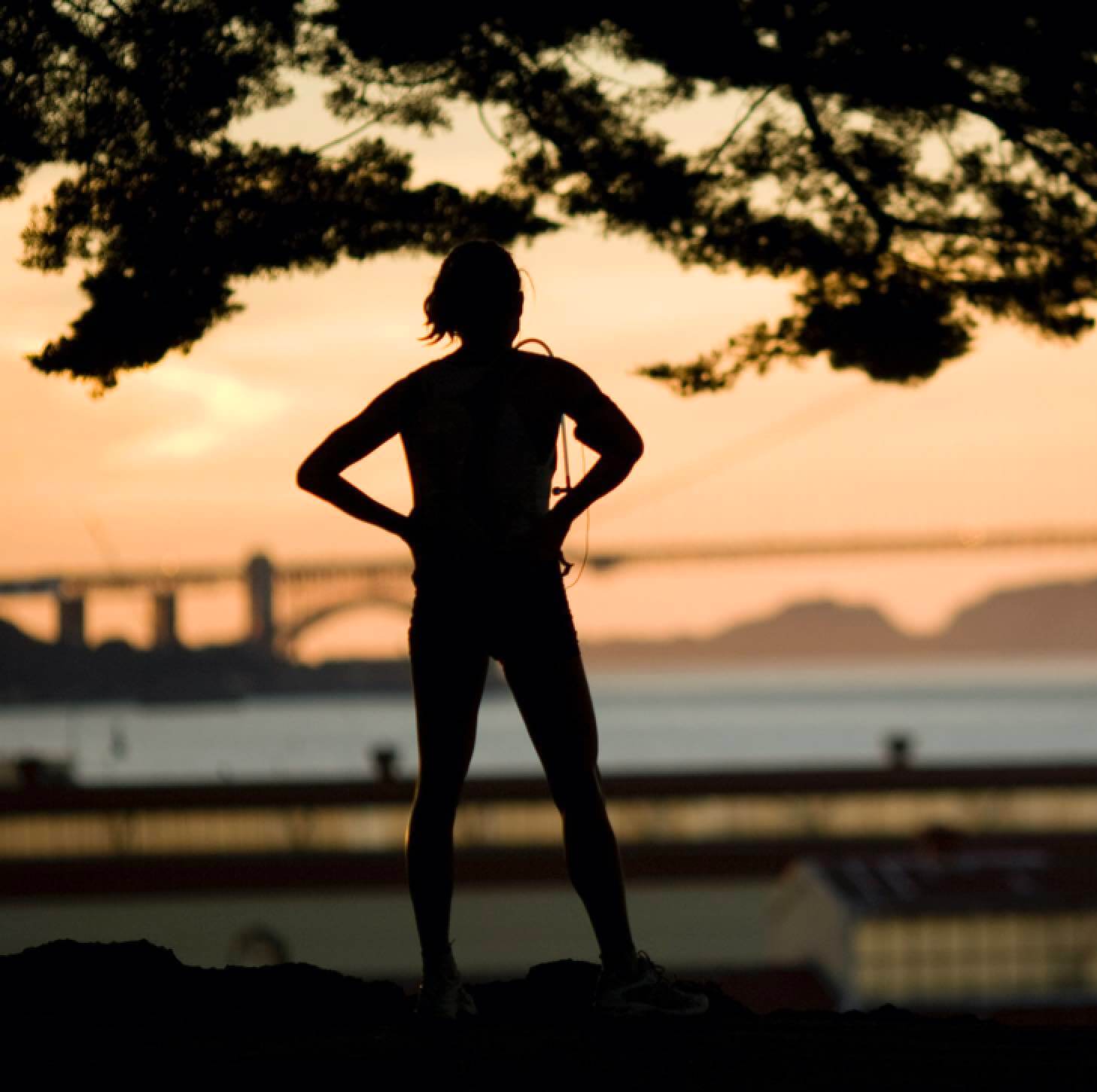 Wealth Management & Advisory Services - Bay Area | Summitry